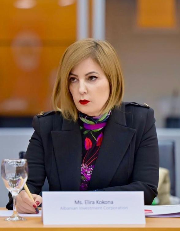 Albanian Investment Corporation